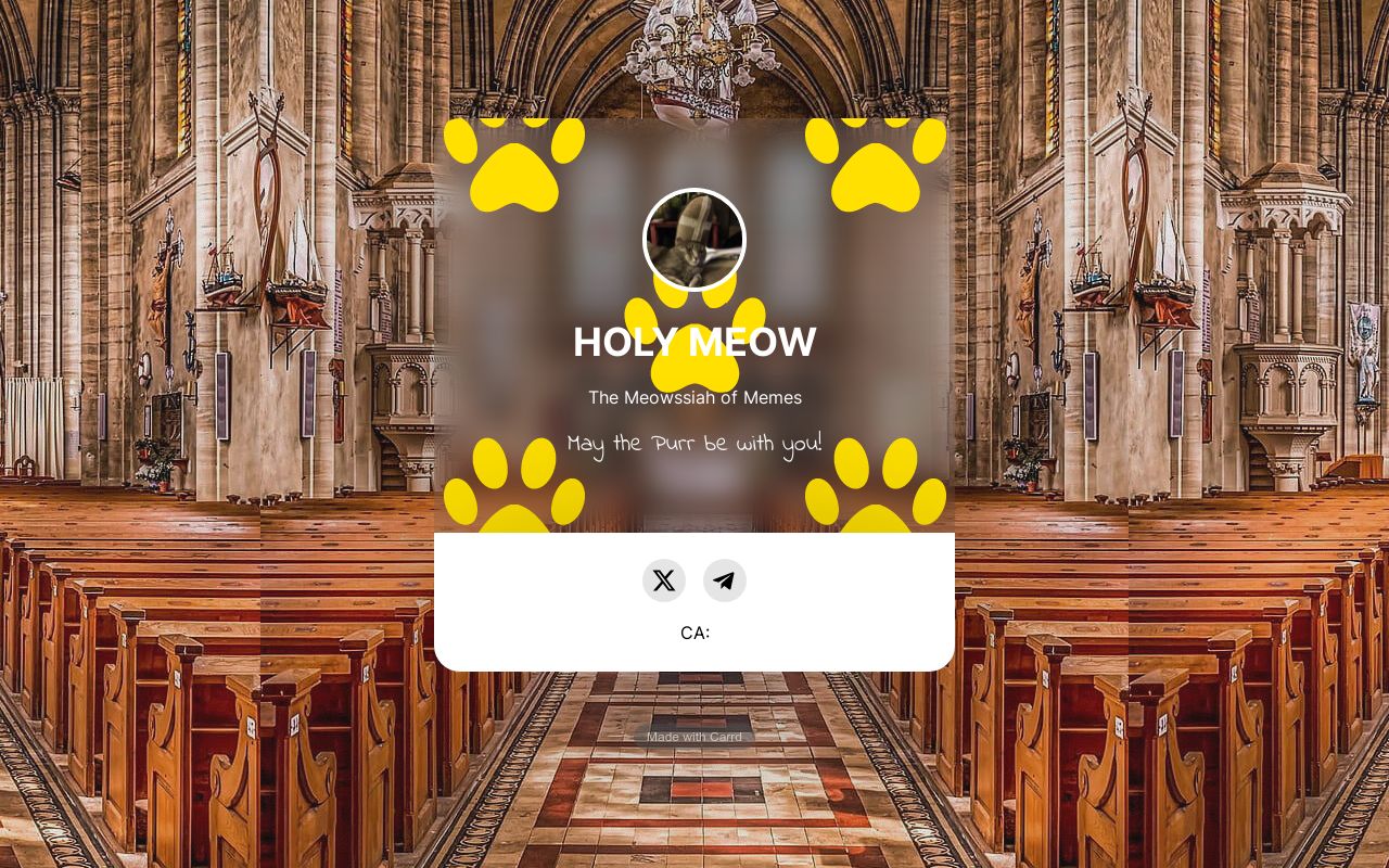 HOLY MEOW